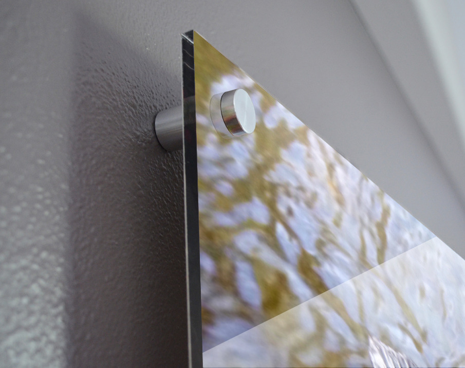 Trout Dorsal Fin - Acrylic Print - Alleghenies Marketplace