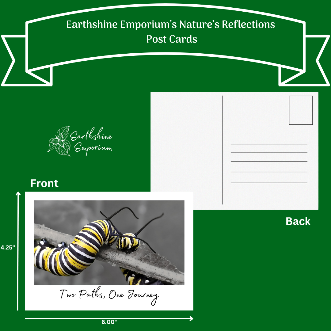 “Two Paths, One Journey” Post Card - Alleghenies Marketplace